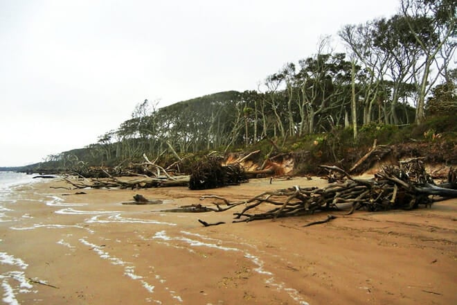 Big Talbot Island State Park