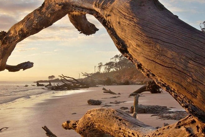 Big Talbot Island State Park
