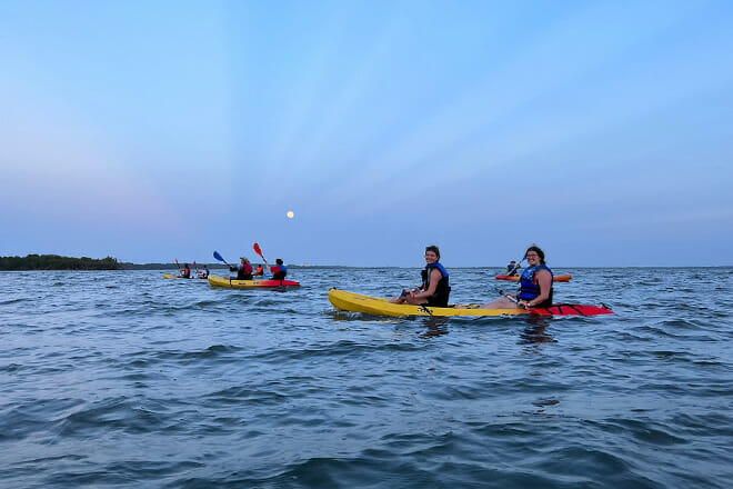 Bioluminescence Kayak Tour