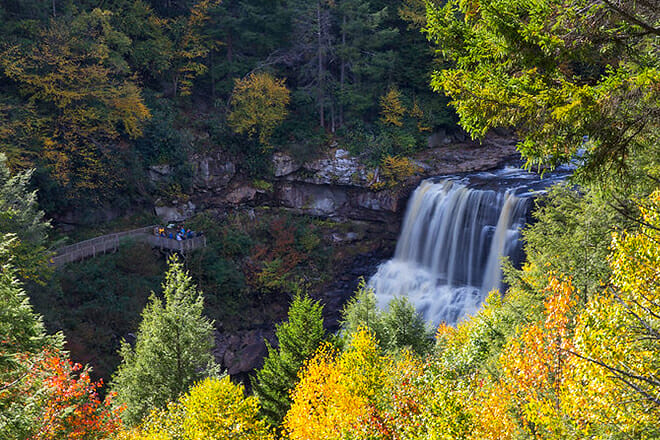 Blackwater Falls State Park &mdash; Davis
