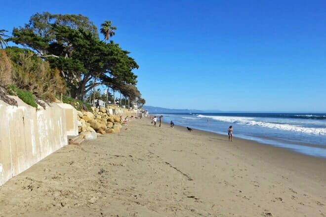 butterfly beach