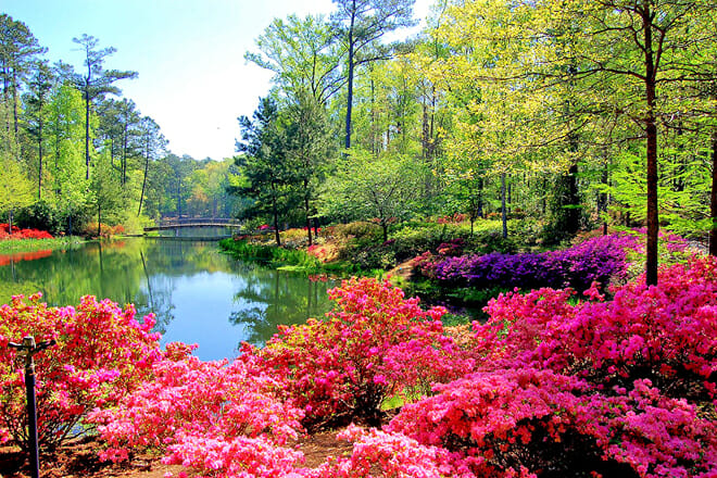 Callaway Gardens &mdash; Pine Mountain