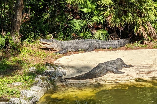Calusa Nature Center And Planetarium &mdash; Fort Myers