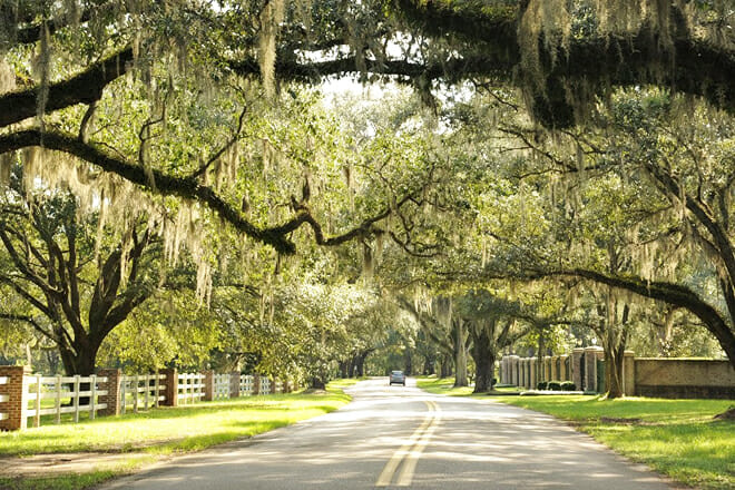 Canopy Roads &ndash; Various Locations