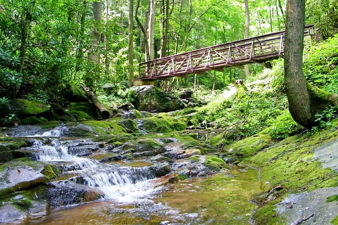 Cherokee National Forest &mdash; Cleveland