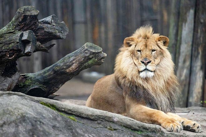 cleveland metroparks zoo &mdash; cleveland