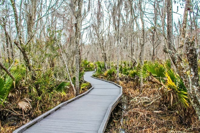 Creole Nature Trail &mdash; Lake Charles