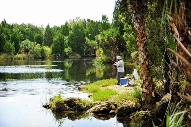 Crystal River Preserve State Park