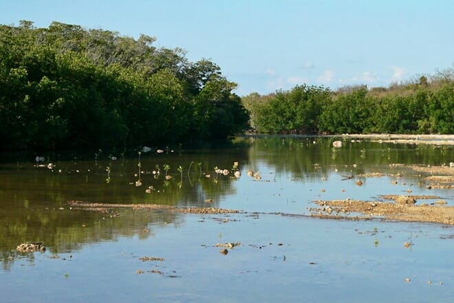 Dagny Johnson Key Largo Hammock Botanical State Park