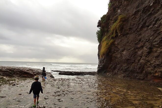 davenport landing beach