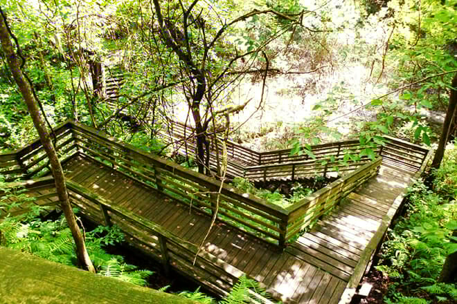 Devil&rsquo;s Millhopper Geological State Park