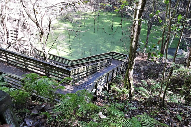 Devil&rsquo;s Millhopper Geological State Park