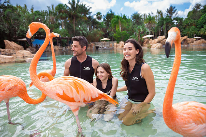 Discovery Cove &mdash; Orlando