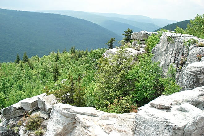Dolly Sods Wilderness Area &mdash; Davis