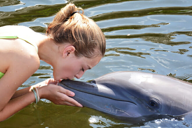 Dolphin Research Center &mdash; Grassy Key