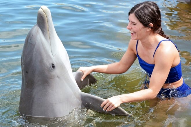 Dolphin Research Center &mdash; Grassy Key
