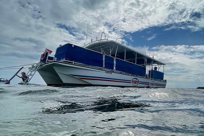 Dolphin Watching and Snorkeling Eco Cruise Tour &mdash; Key West&nbsp;