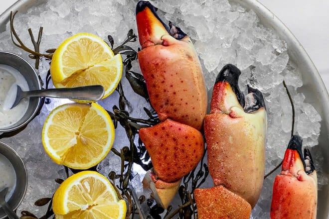 downtown west palm beach food tour