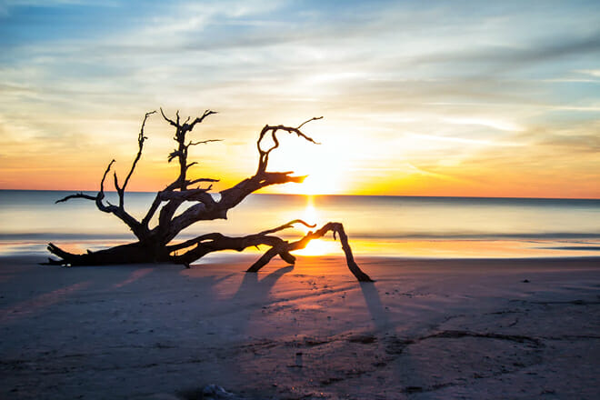 Driftwood Beach &mdash; Jekyll Island