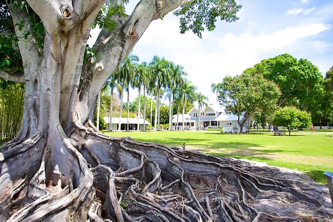 Edison and Ford Winter Estates