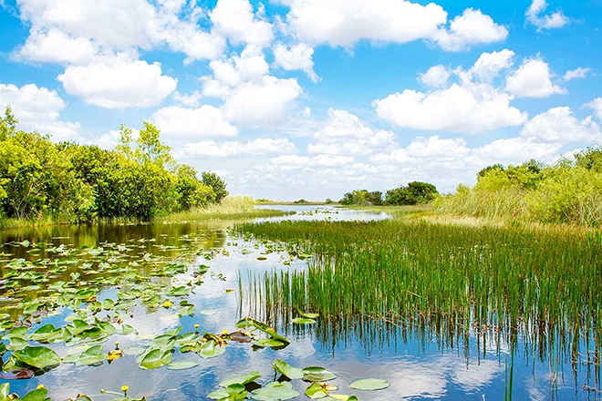 Everglades National Park