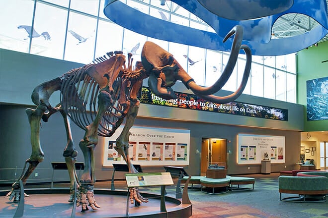 Florida Museum Of Natural History