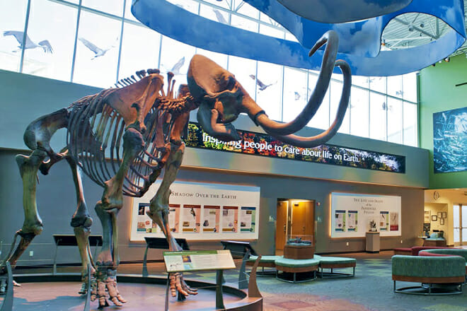 Florida Museum of Natural History