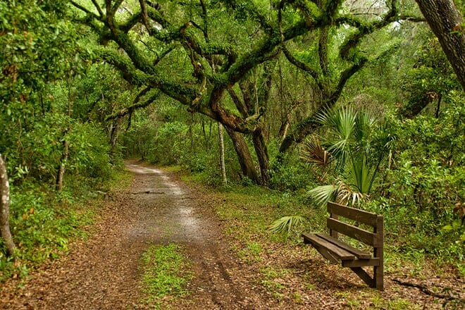 Fort Cooper State Park