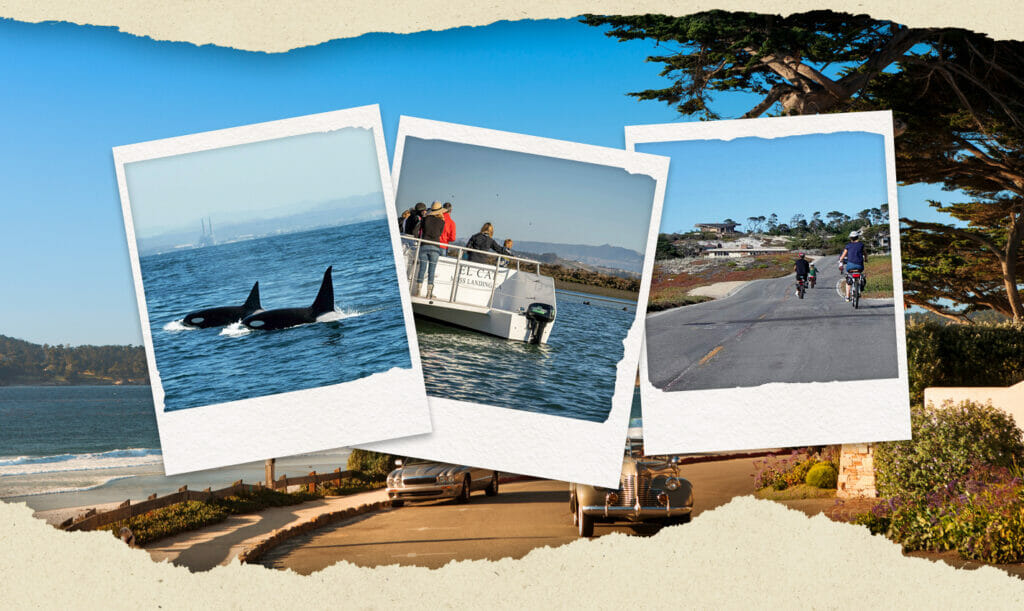 fun things to do in monterey with kids travel photo