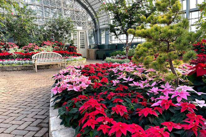 Garfield Park Conservatory — Chicago