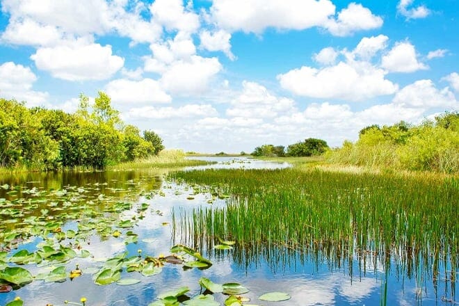 German Tours Everglades Llc