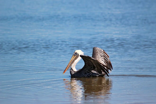 Huguenot Memorial Park