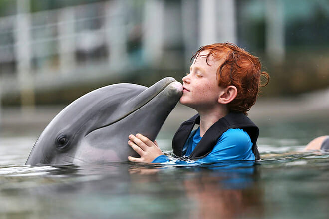 Island Dolphin Care