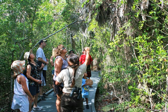 J.N. Ding Darling National Wildlife Refuge