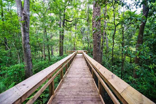 Jacksonville Arboretum And Gardens