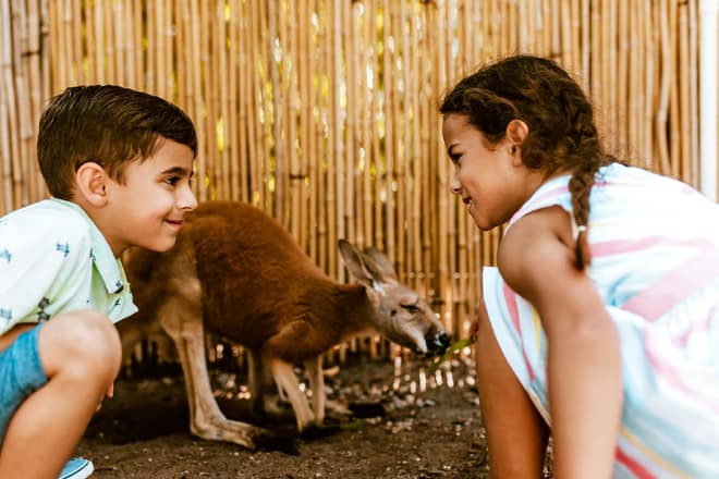 Jungle Island &mdash; Miami