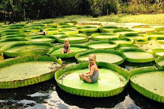 Kanapaha Botanical Gardens