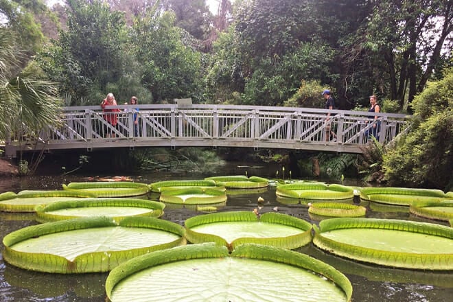 Kanapaha Botanical Gardens