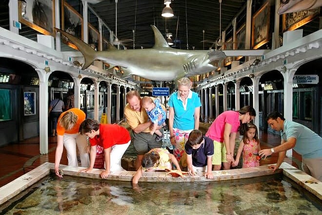 Key West Aquarium &mdash; Key West