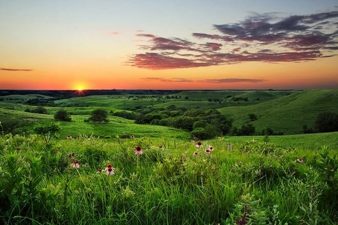 konza prairie &mdash; manhattan