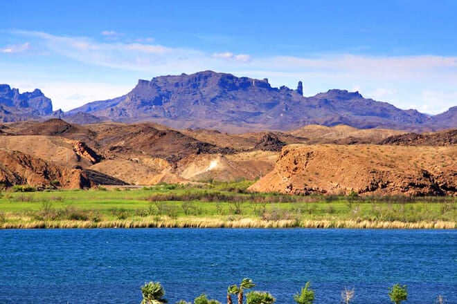 Lake Havasu State Park — Lake Havasu City