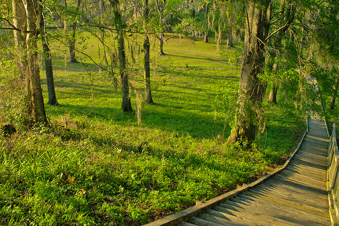 Lake Jackson Mounds Archaeological State Park