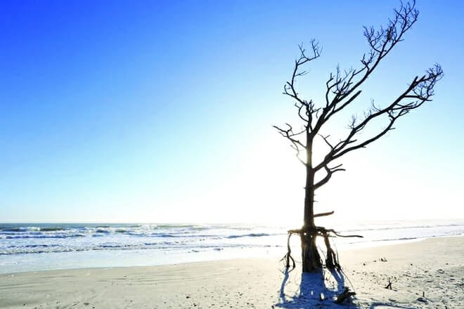 Little Talbot Island State Park