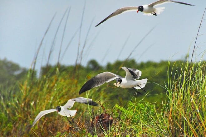 Lovers Key State Park