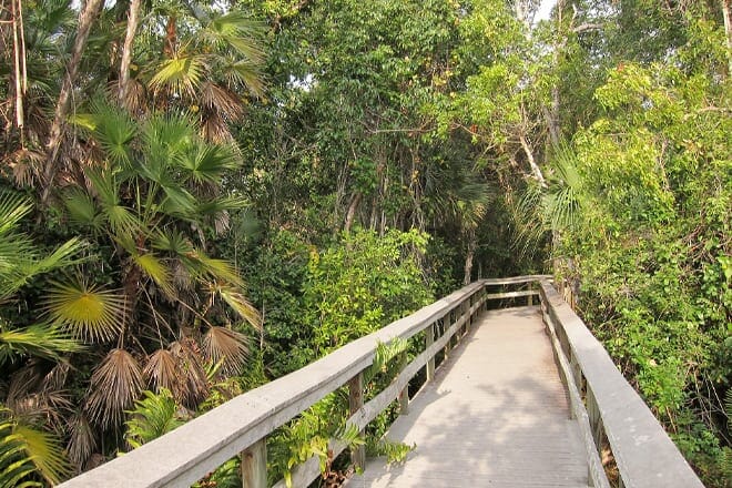 Mahogany Hammock Trail