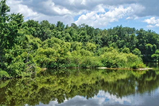 Moccasin Lake Nature Park