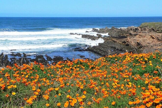 montana de oro state park