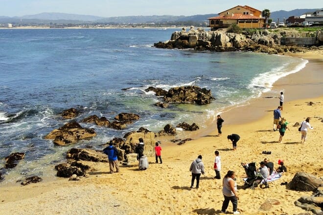 monterey municipal beach