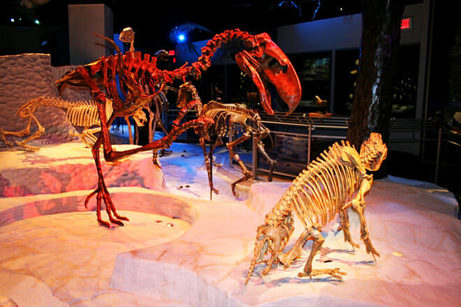 Museum Of Florida History