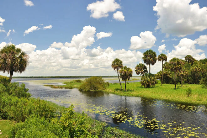 Myakka River State Park